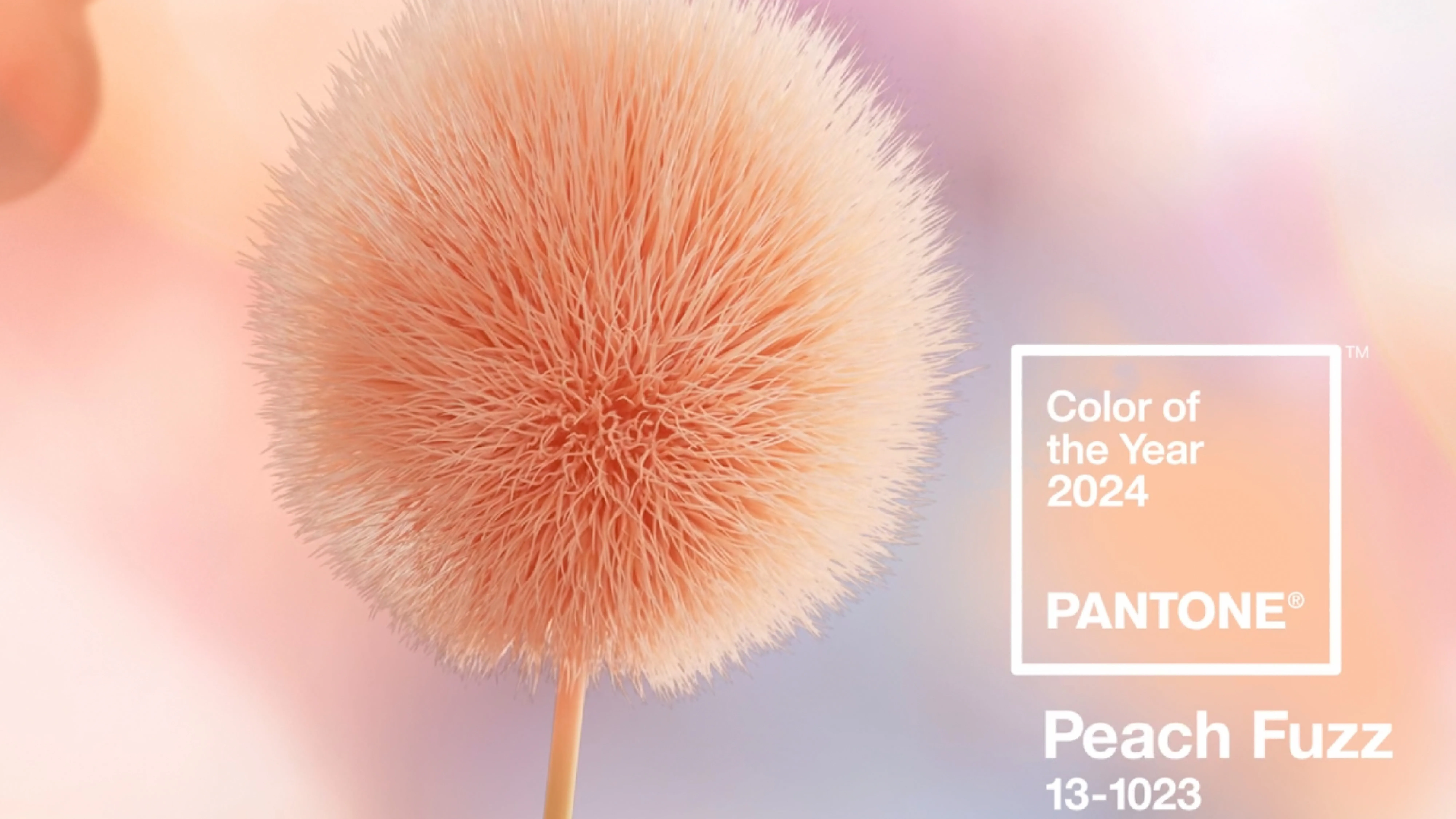 “เปิดรับความสง่างามของสี Peach Fuzz แห่งปี 2024 จาก Pantone” - Muller Design Solution